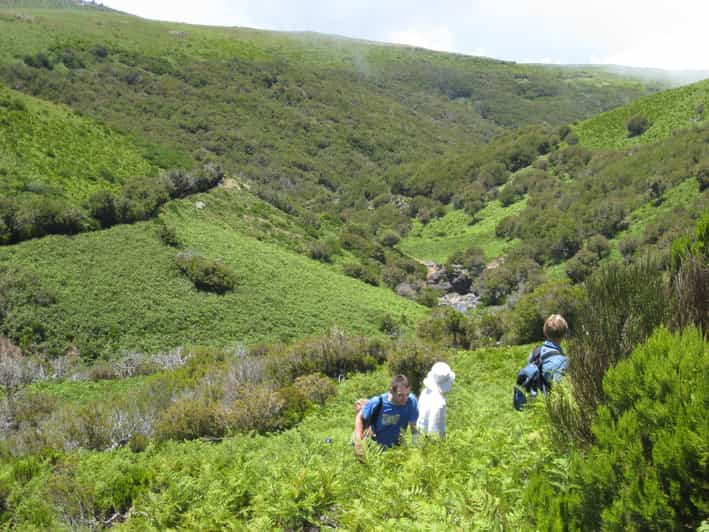 Levada do Alecrim (Madeira Lakes) Full-day walk | GetYourGuide