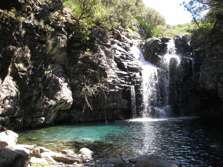 Levada do Alecrim (Madeira Lakes) Full-day walk | GetYourGuide