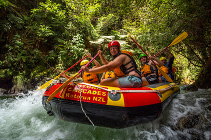 Kaituna River and Tutea Falls Whitewater Rafting | GetYourGuide