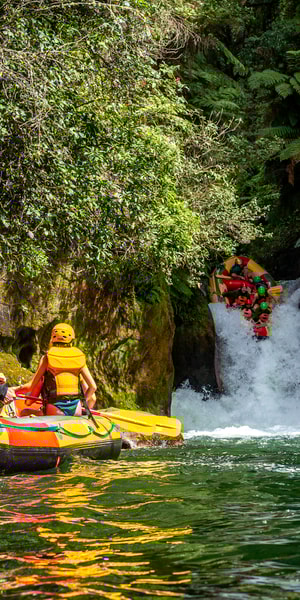 Kaituna River and Tutea Falls Whitewater Rafting | GetYourGuide