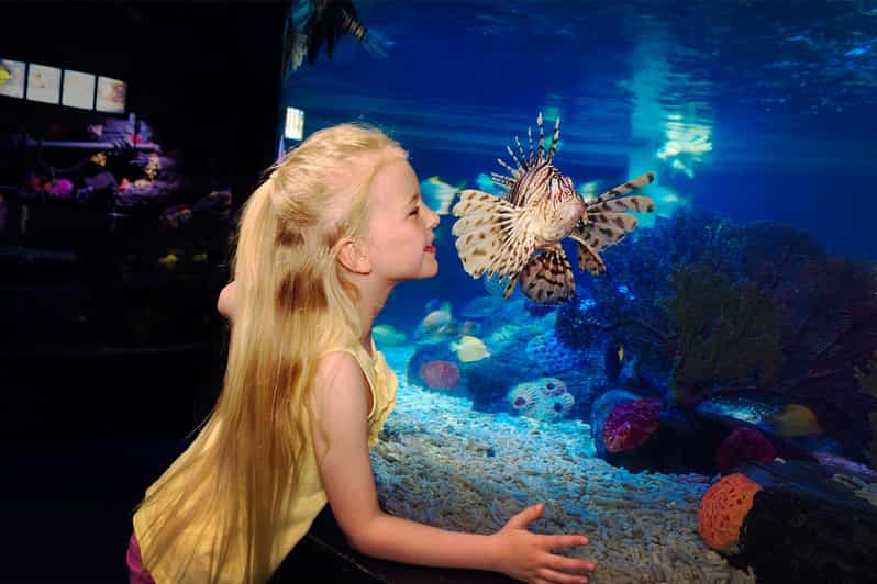 Manchester: Entrada SEA LIFE | GetYourGuide
