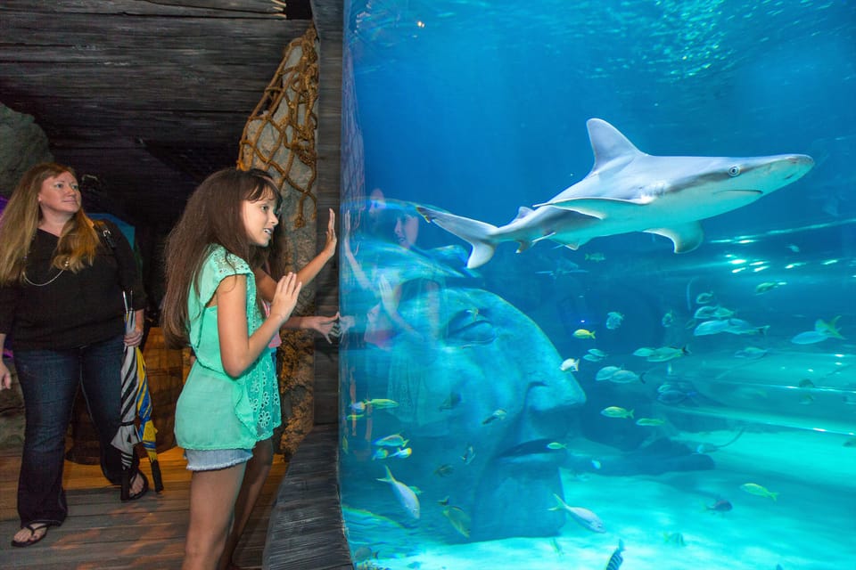 Manchester: SEA LIFE Entrance Ticket | GetYourGuide