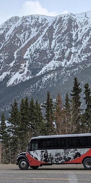 Skagway: Klondike Highway & Yukon Bus Tour with Husky Kennel | GetYourGuide