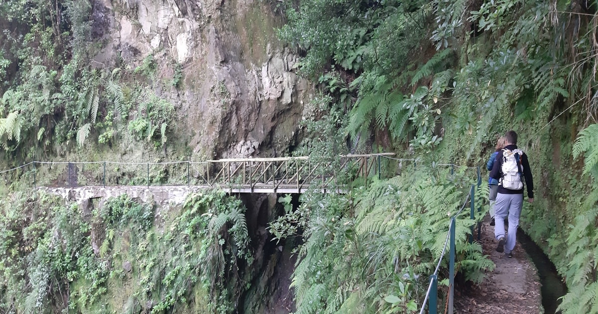 Madeira: Private Guided Levada dos Cedros Fanal Walk PR14 | GetYourGuide