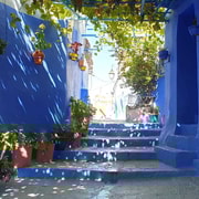 Tanger: dagexcursie naar Chefchaouen | GetYourGuide