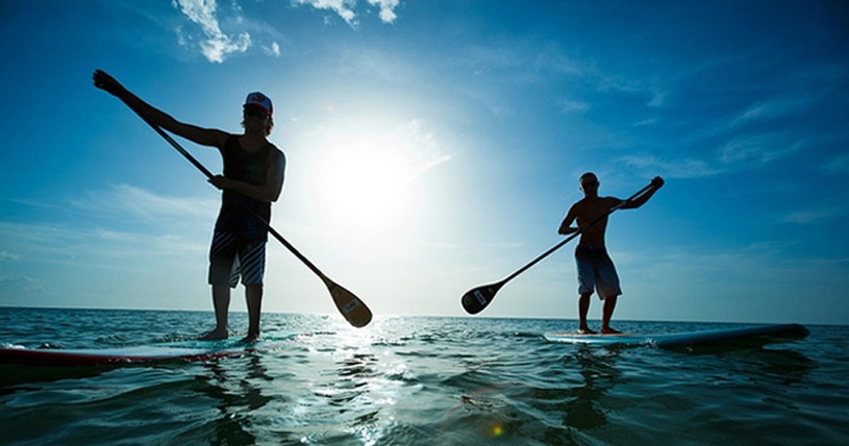 Fuerteventura: 1,5 uur SUP Cursus - Caleta de Fuste | GetYourGuide