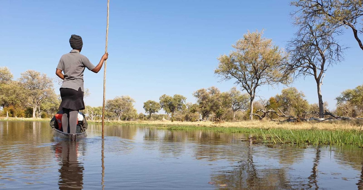Maun: Okavango Delta Mokoro Tour i Bush Walk | GetYourGuide