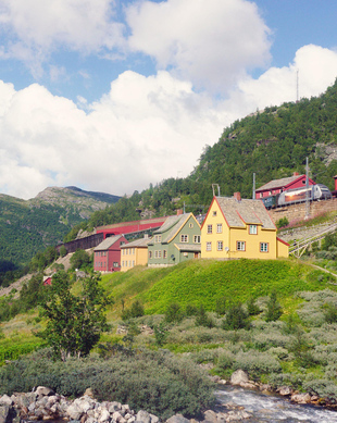 The BEST Flåm Tours and Things to Do in 2024 - FREE Cancellation ...