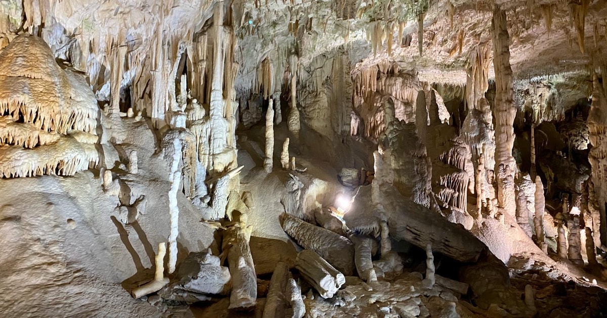Vanuit Ljubljana: Dagtrip naar de Postojna-grot | GetYourGuide