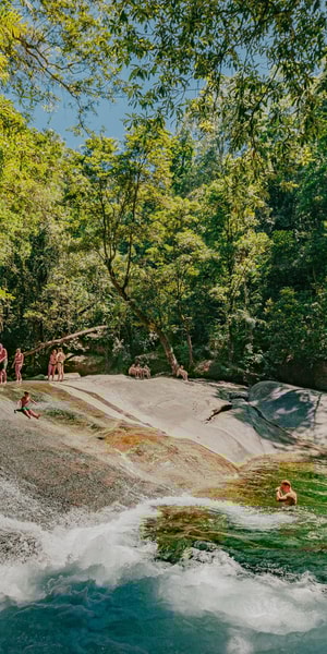 From Cairns: Atherton Tableland Wilderness Tour with Lunch | GetYourGuide