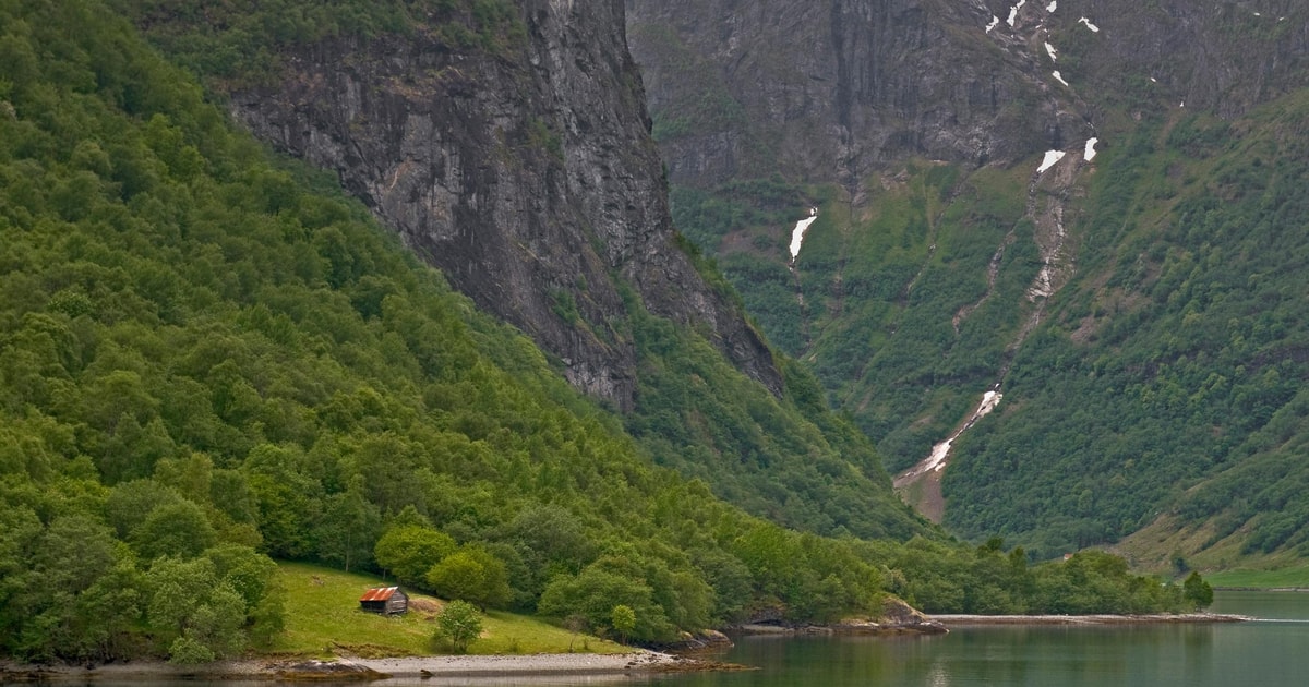Bergen: Self-Guided Trip to Oslo with Sognefjord cruise (5h) | GetYourGuide