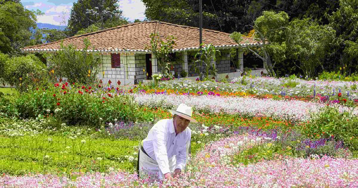 From Medellín: Colombian Flower Farm Private Full-Day Tour | GetYourGuide