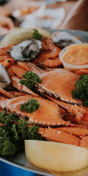 Mooloolaba: Seafood Lunch Cruise | GetYourGuide