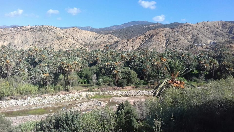 Agadir/Taghazout/Tamraght: Paradise Valley Best Tour | GetYourGuide