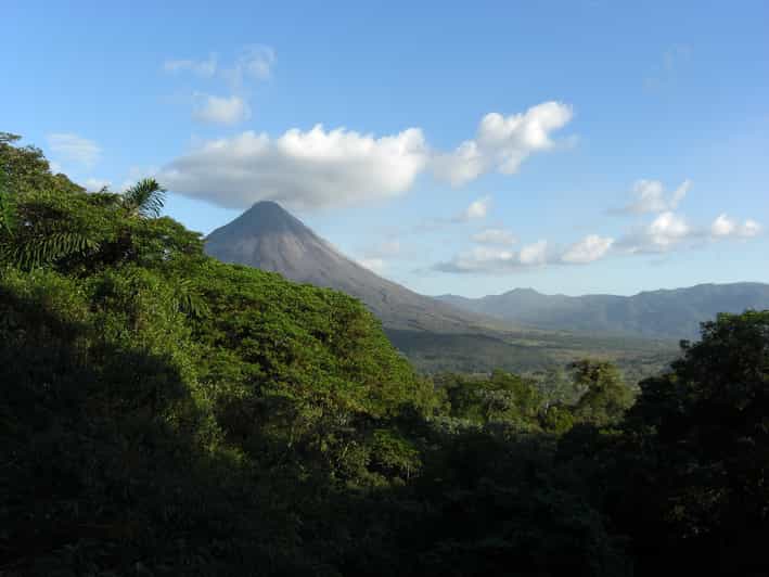 Arenal Forest: Bird Observation & Photography Tour | GetYourGuide