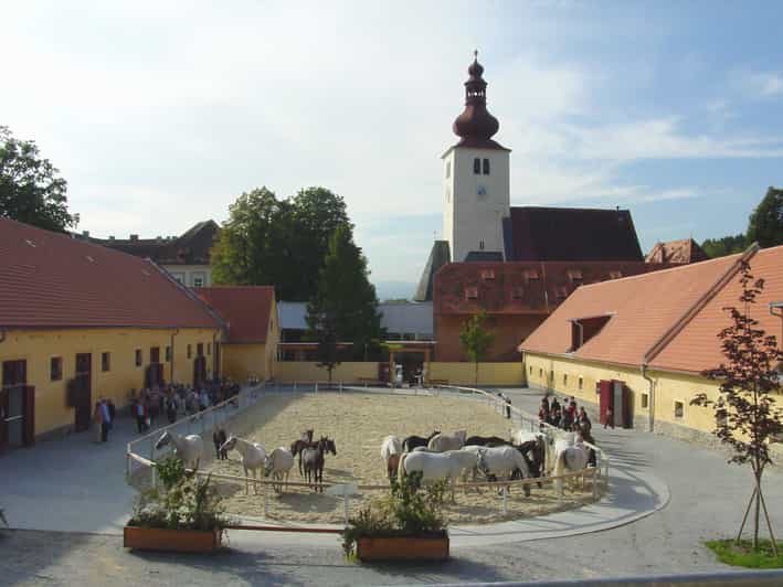 Piber: Lipizzan Stud Guided Tour | GetYourGuide