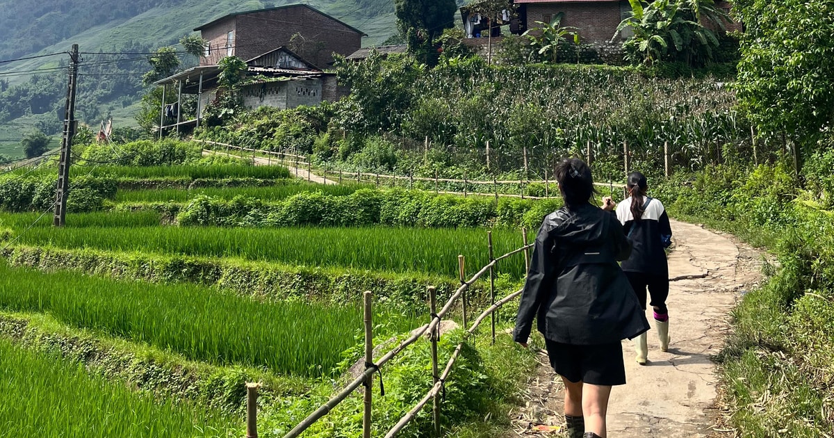 Sapa Trekking Tour Homestay Rice Fields and Bamboo Forest | GetYourGuide