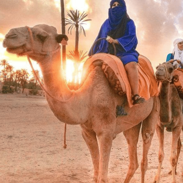 Desert Delights: Quad & Camel Excursion" | GetYourGuide