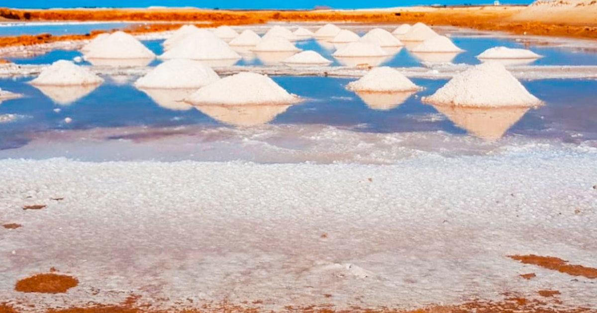 Sal Island: Guided Full-Day Highlights Tour with Lunch | GetYourGuide