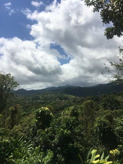 El Yunque National RainForest: Tour with Nature walk | GetYourGuide