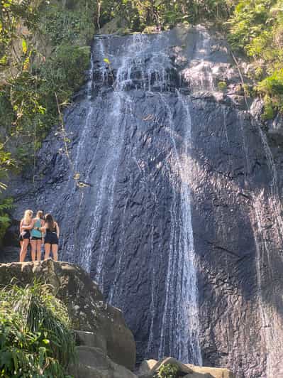El Yunque National RainForest: Tour with Nature walk | GetYourGuide