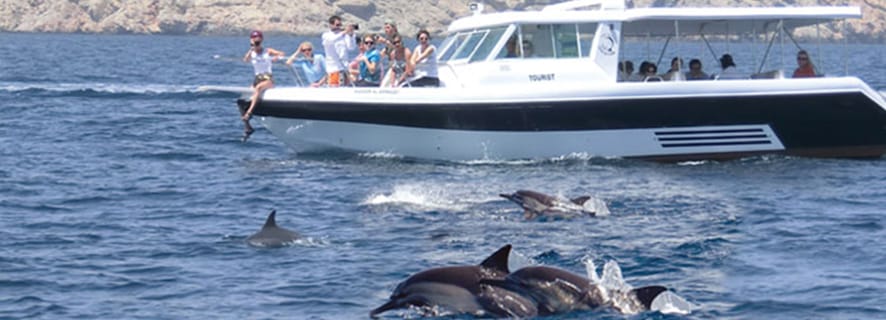 Marina Bandar Al Rowdha, Muscat - Book Tickets & Tours | GetYourGuide