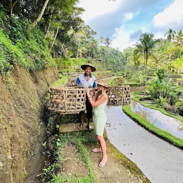 Bali: Best Ubud Hidden Waterfalls All-inclusive Tour | GetYourGuide