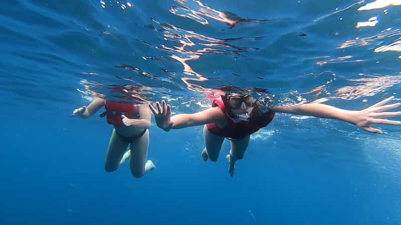 Tenerife: Kayak Safari with Sea Turtles and Snorkeling | GetYourGuide