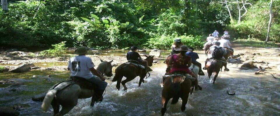 FullDay3: ATVDoble+Horseback Riding+Hanging Bridges Mistico | GetYourGuide