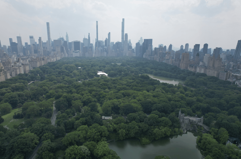 Officiell VIP-tur med häst och vagn i hela Central Park | GetYourGuide