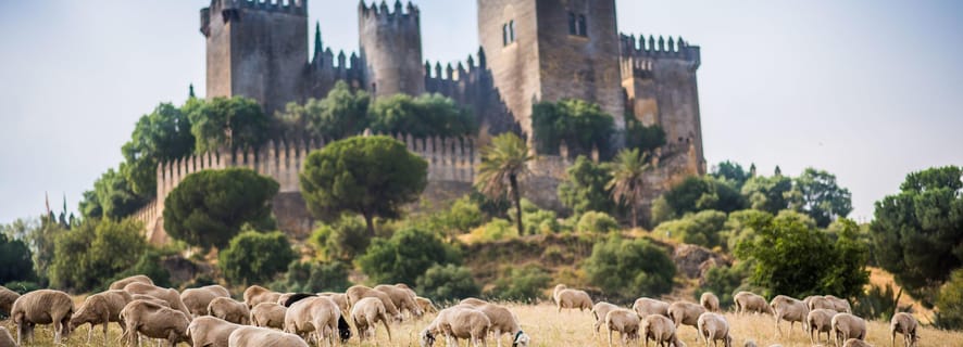 Castillo de Almodóvar | Proveedor de GetYourGuide