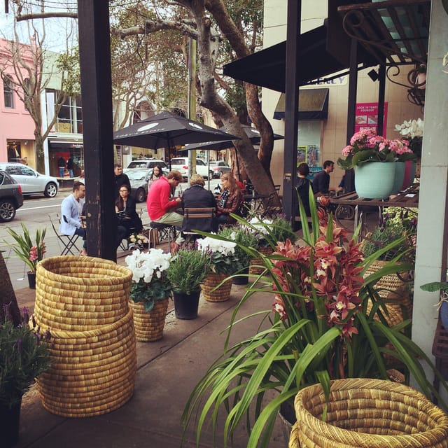 Sydney: Story of the City Small-Group Half-Day Boutique Tour | GetYourGuide