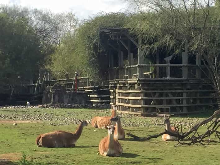 Buenos Aires: Bioparque Temaiken with Transfers | GetYourGuide