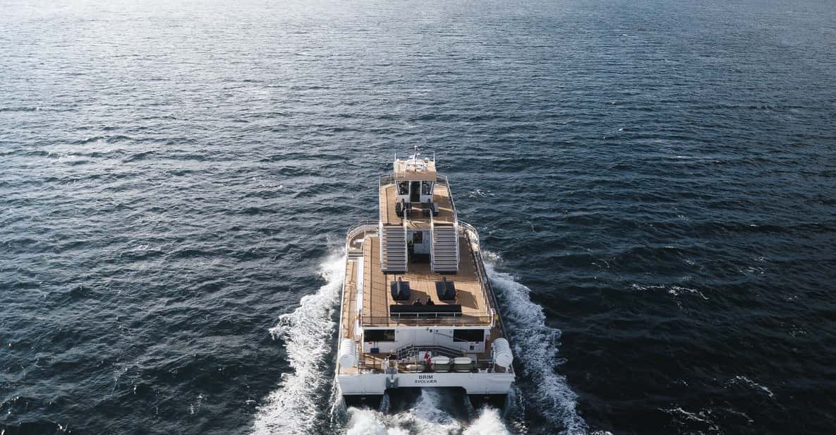 Lofoten Islands: Skrova Dinner Cruise | GetYourGuide