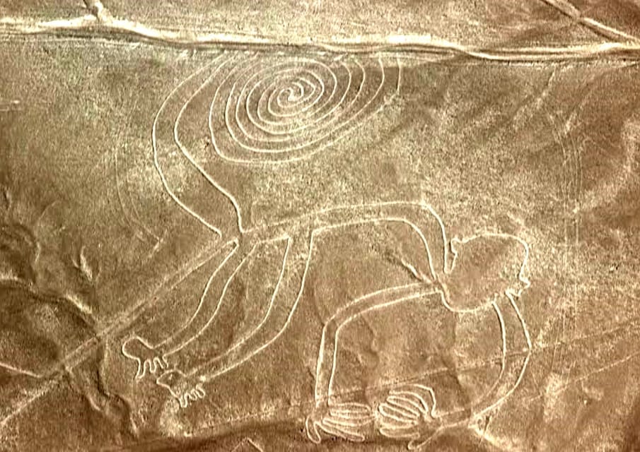 Nazca: volo panoramico sulle linee di Nazca | GetYourGuide