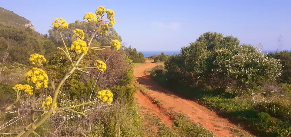 Hiking tour to Highest Limestone Cliff in Europe | GetYourGuide