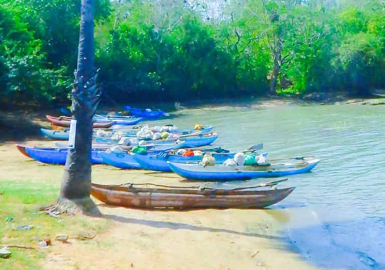 Yala: Village Cycling Tour | GetYourGuide