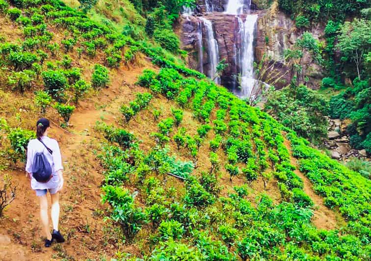 Tour di trekking del villaggio a Ramboda | GetYourGuide