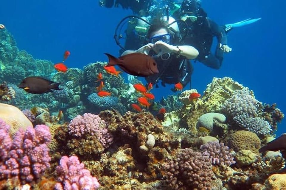 Sharm El-Sheikh: Scuba Dive Introduction from the Shore | GetYourGuide
