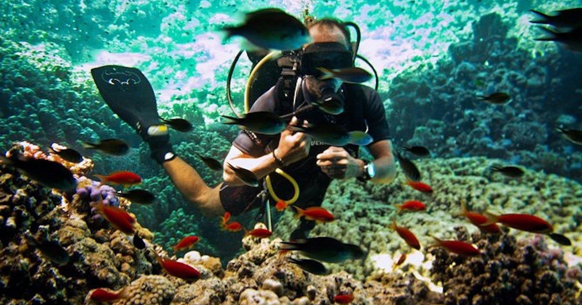 Parc national de Ras Muhammad: excursion en bateau de plongée au départ ...