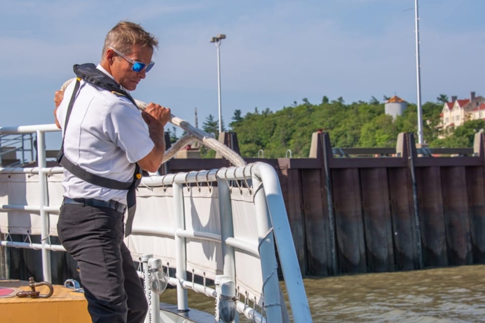 Berthier-sur-Mer: Razorbill Penguin Observation Cruise | GetYourGuide