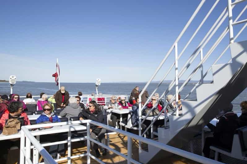 Berthier-sur-Mer: Crucero de Observación del Pingüino Razorbill ...