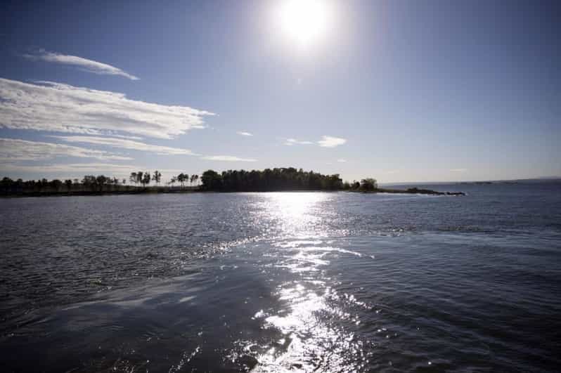 Berthier-sur-Mer: Crucero de Observación del Pingüino Razorbill ...