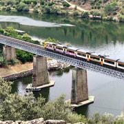 Porto: Douro Valley Full-Day Boat, Train, and Lunch Tour | GetYourGuide