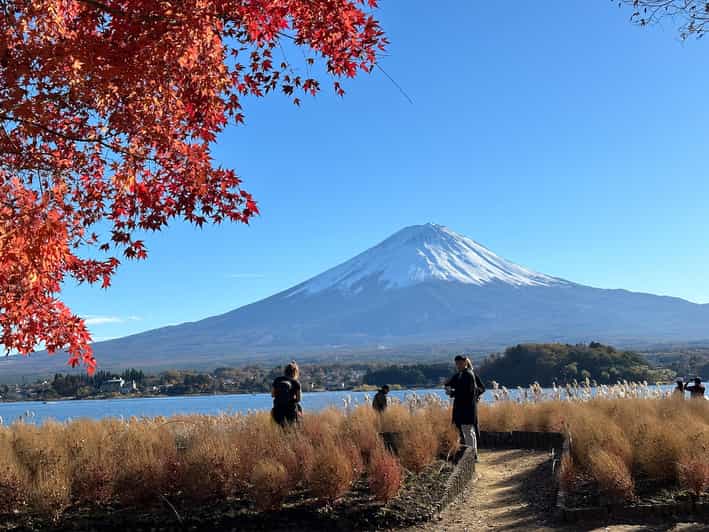 Tokyo: Mt.Fuji Private day Trip with English Speaking Driver | GetYourGuide