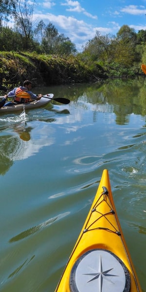 Varna: Tur Sehari Berkayak di Sungai Kamchia | GetYourGuide