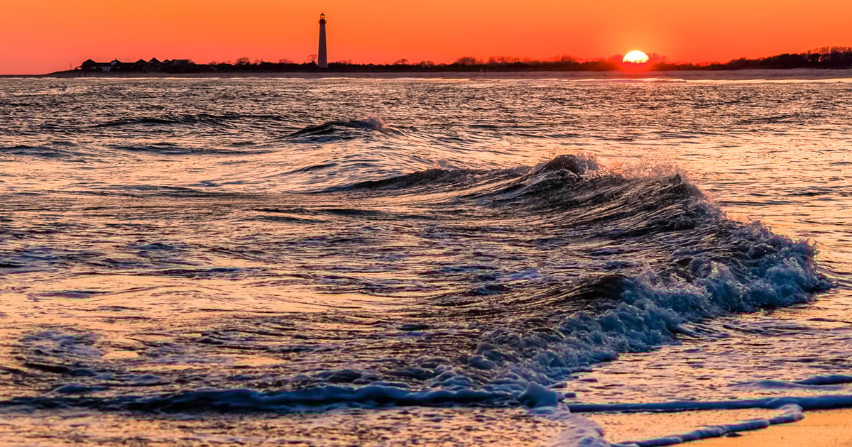 Cape May: Cape May Island Sunset Cruise & Delphinbeobachtung | GetYourGuide