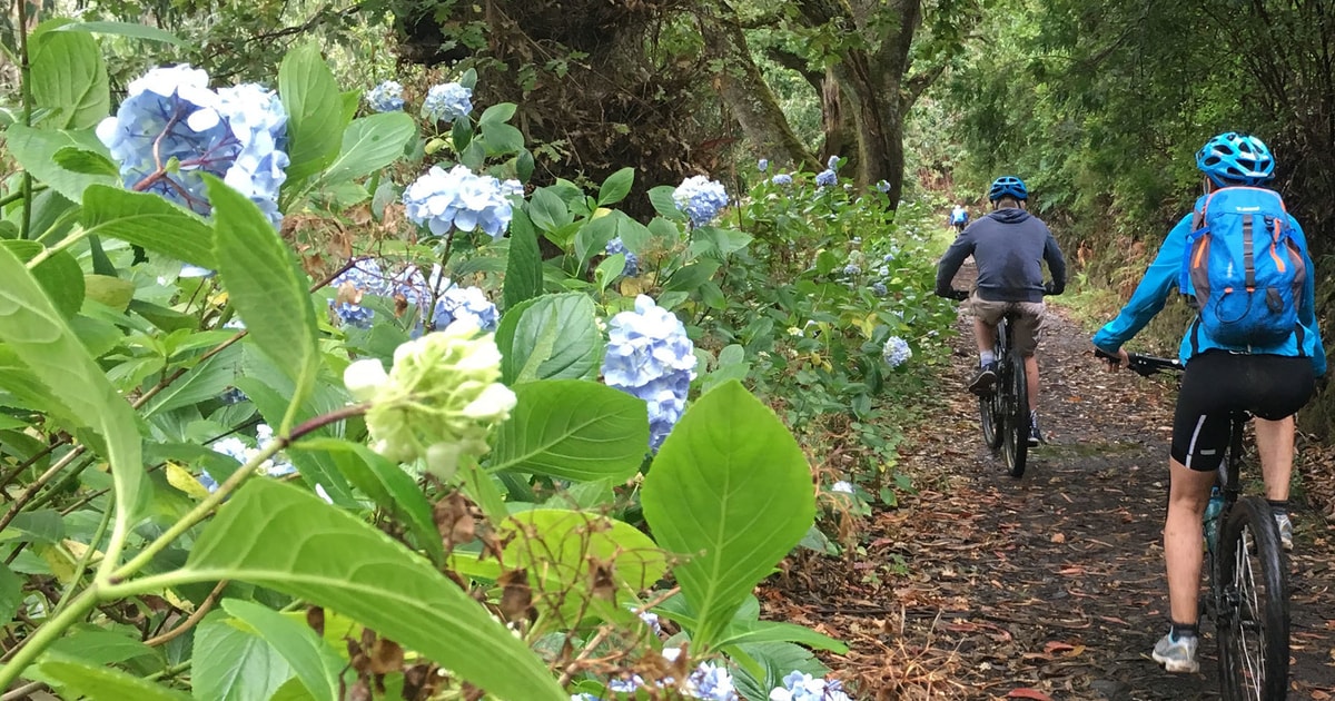 ŁATWA WYCIECZKA ROWEROWA LEWADA | GetYourGuide