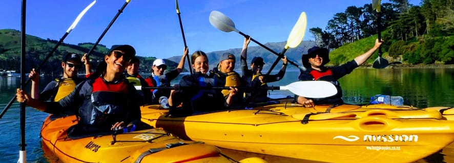 The BEST Akaroa Tours and Things to Do in 2022 - FREE Cancellation ...