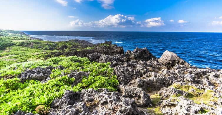 Northern Okinawa National Park Enjoyment Course【C-course】 | GetYourGuide